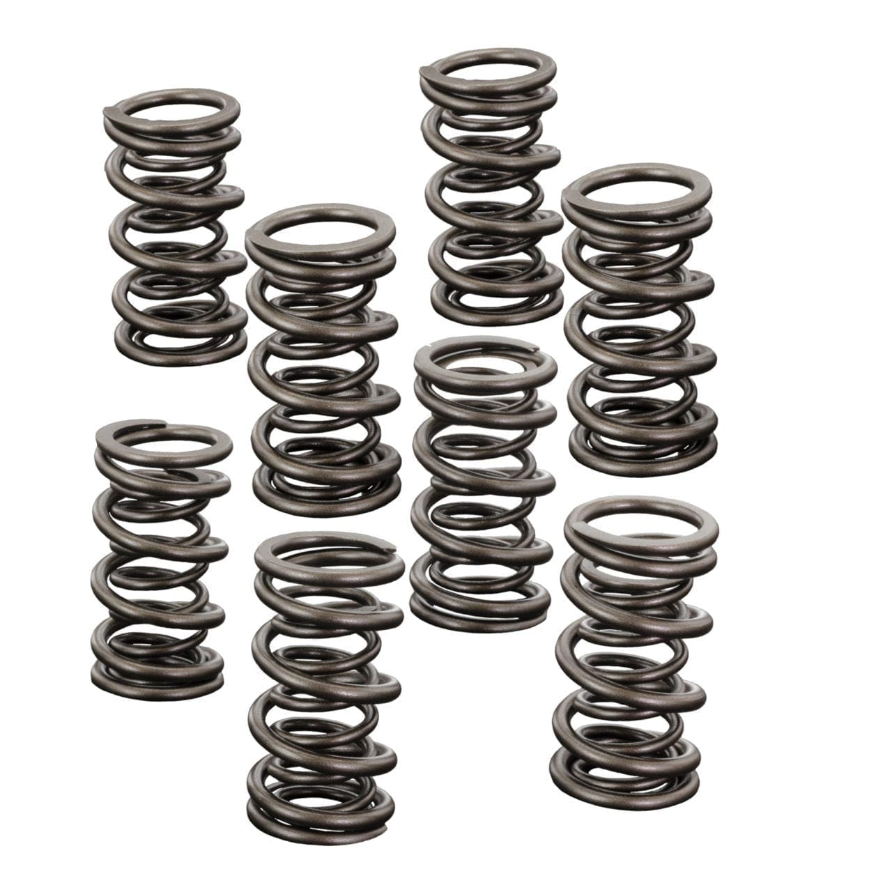 VW Dual Springs 1.550" Installed Height - SCAT VW